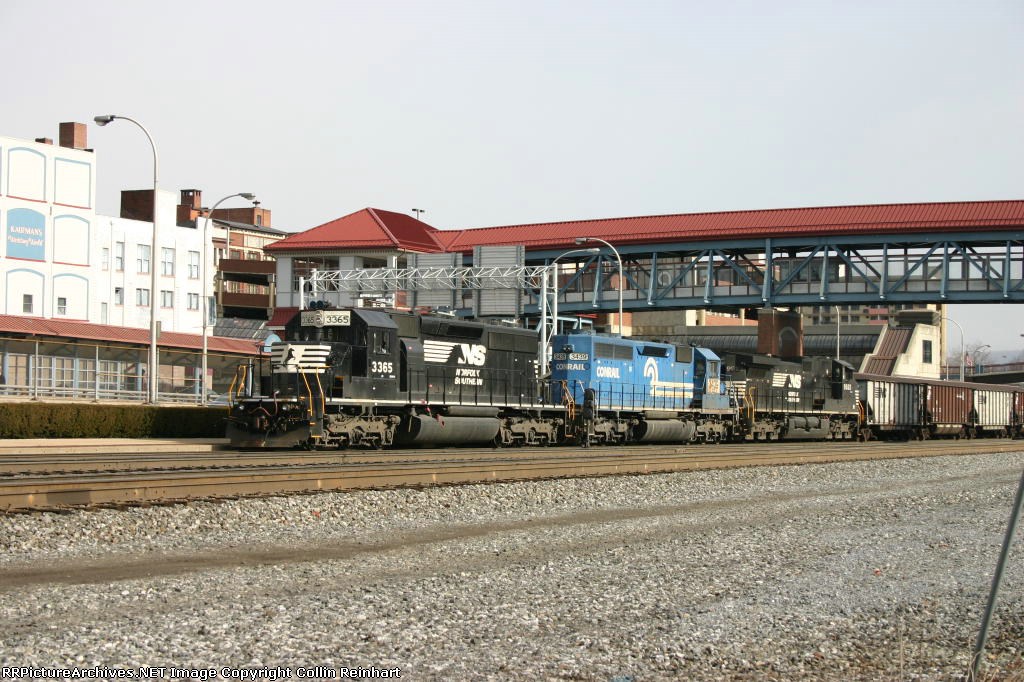 NS 3365, NS 3439, & NS 9922